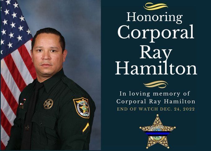 What happened to Ray Hamilton? Suspect Timothy Price-Williams charged ...