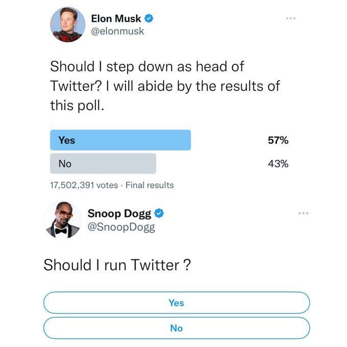 "Rebrand as tWEEDter": Snoop Dogg asks if he should run Twitter amid ...