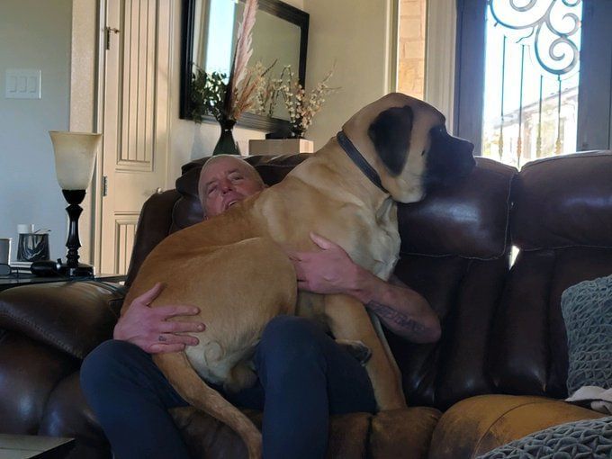 Dustin Rhodes reacts to the idea of returning to WWE and reuniting with ...