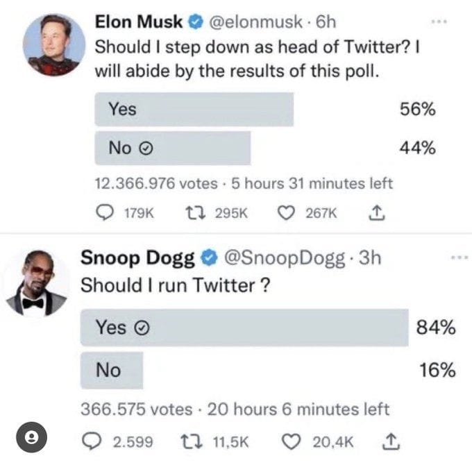 "Rebrand as tWEEDter": Snoop Dogg asks if he should run Twitter amid ...