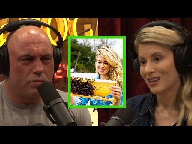 Joe Rogan: Joe Rogan is fascinated by how honeybee colonies work