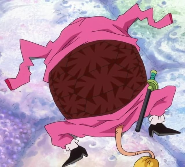 Kame Kame no Mi Devil Fruit in One Piece