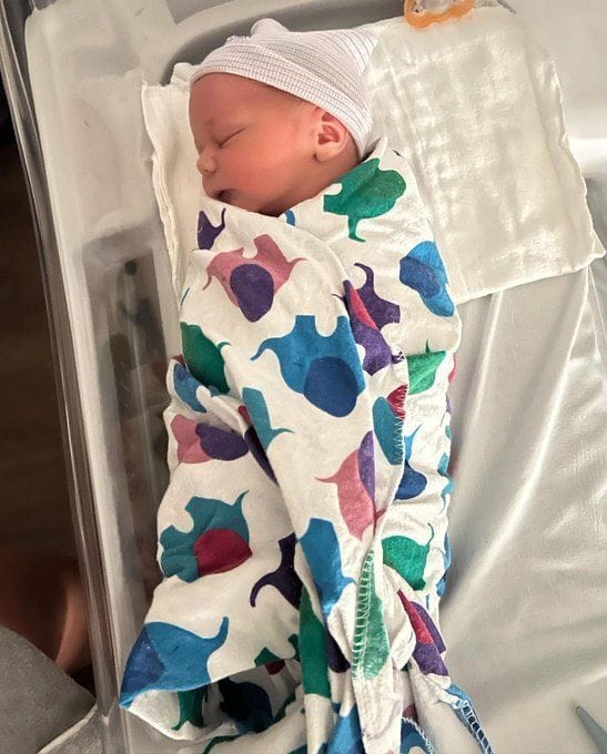 Who is Pau Gasol's wife, Catherine McDonnell, as the NBA legend ...