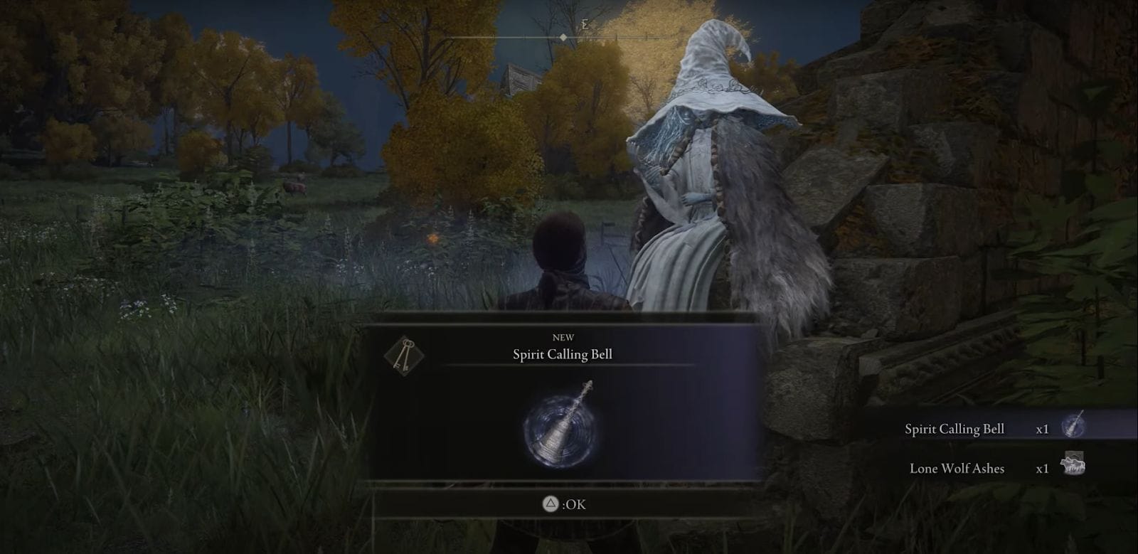 How to Summon in Elden Ring?