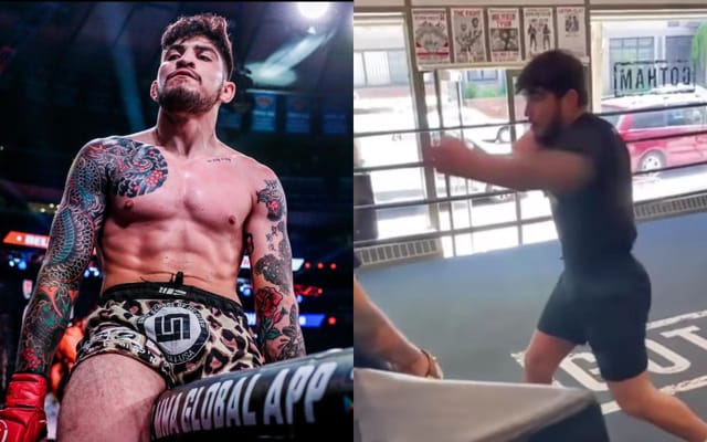 Dillon Danis' boxing clip leaves fans unimpressed as they predict KO ...