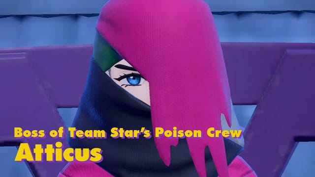 Pokemon Scarlet and Violet: All Team Star rematch guide