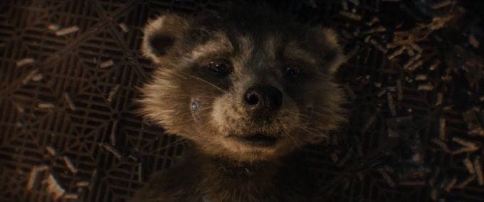 ''Leave Rocket alone'': Marvel fans worry for Rocket in new Guardians ...