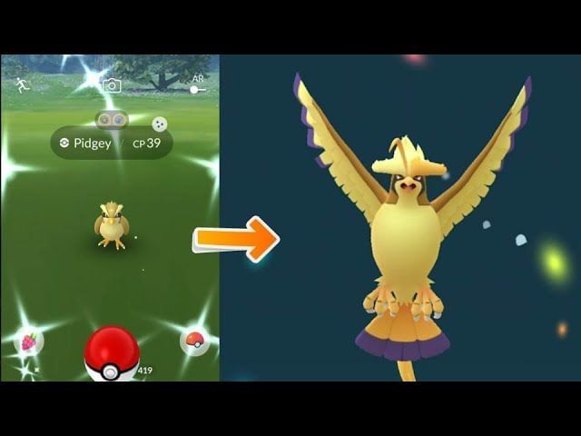 Can Pidgey be shiny in Pokemon GO (December 2022)