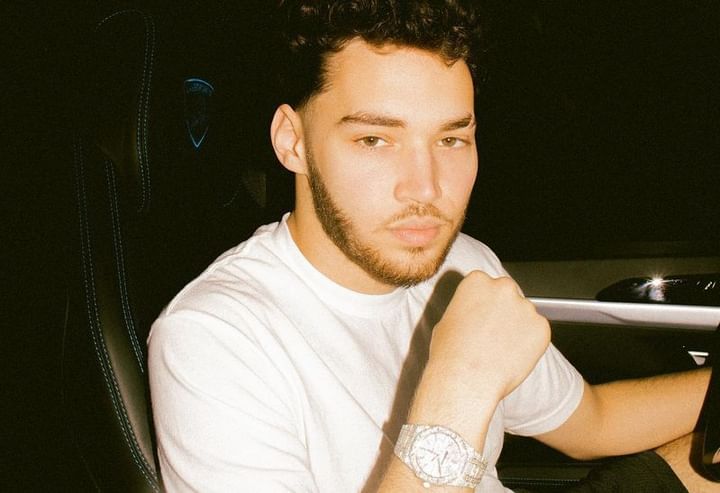 What is Adin Ross's net worth?