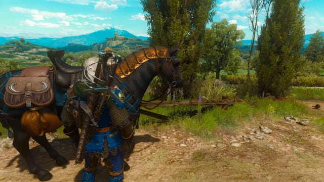 How to pet Roach in The Witcher 3 Next Gen