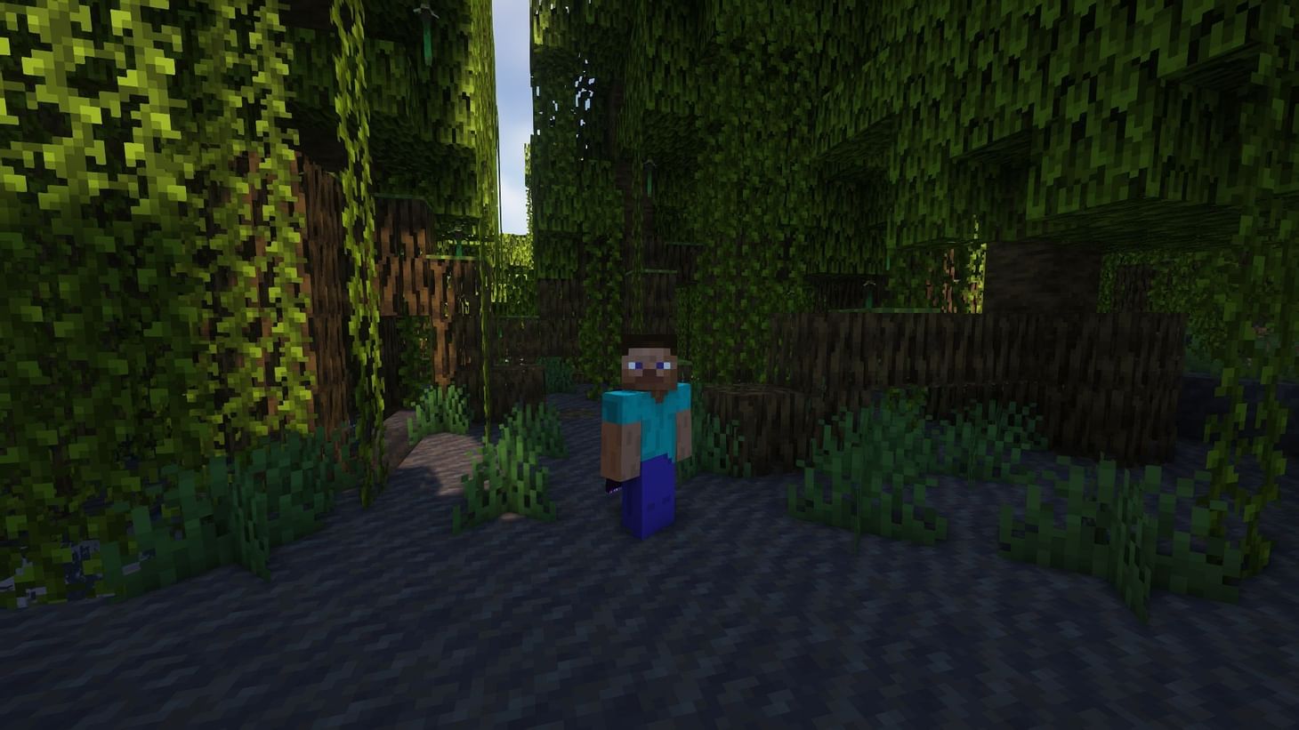 What is the easiest way to farm mangrove trees in Minecraft?