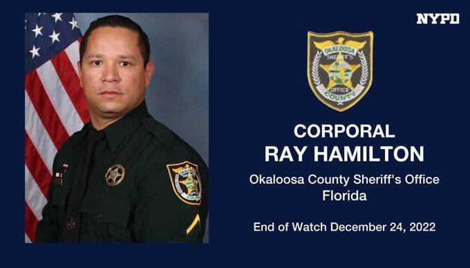 What happened to Ray Hamilton? Suspect Timothy Price-Williams charged ...