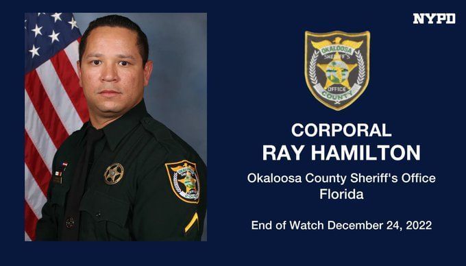 What happened to Ray Hamilton? Suspect Timothy Price-Williams charged ...