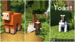 How To Make A Name Tag In Minecraft