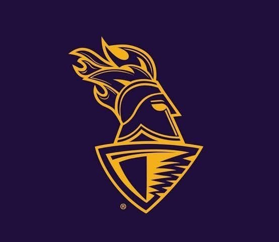 Why is KKR not part of the Women's Premier League (WPL)?