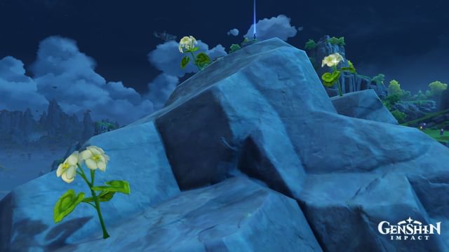 Where to find Qingxin flowers in Genshin Impact: Locations and farming ...