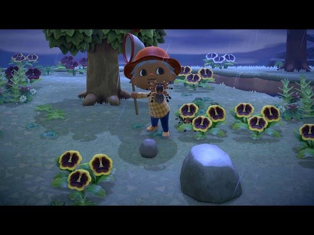 Animal Crossing: New Horizons - How to catch a Tarantula