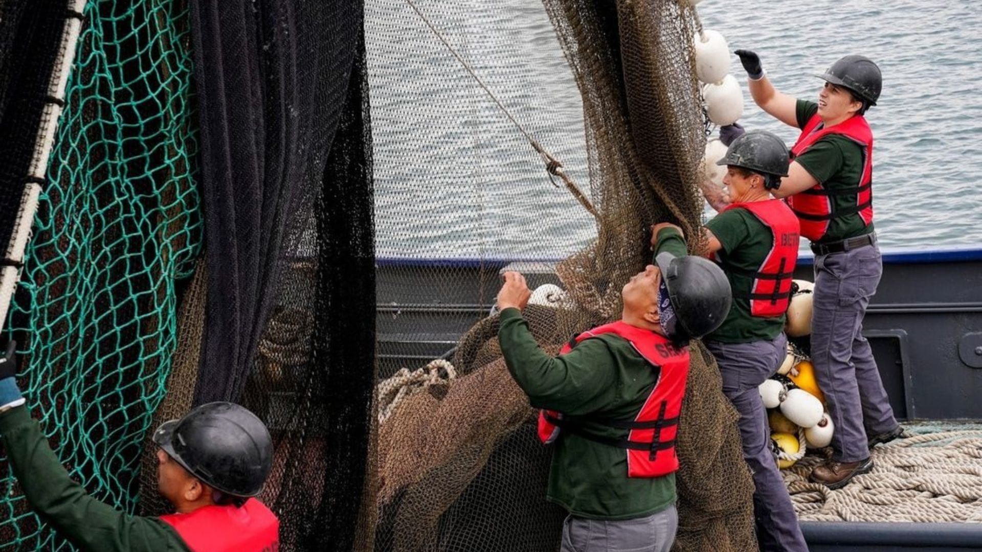 Which team had the most wins after the team challenge on Tough as Nails ...