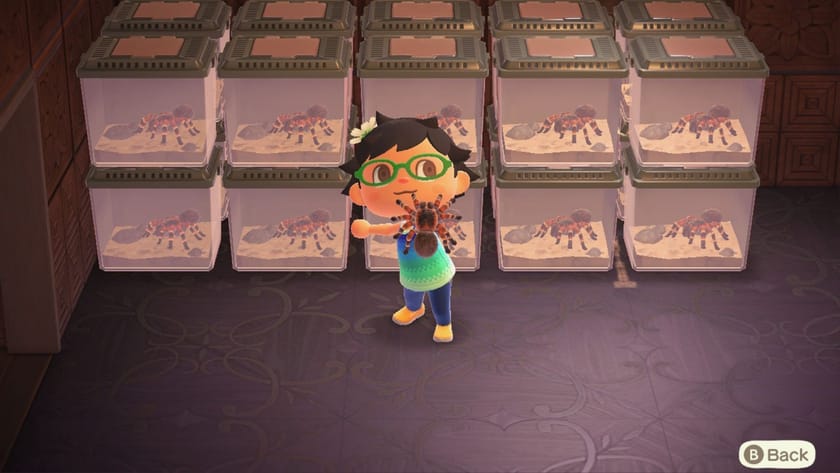 Animal Crossing: New Horizons - How to catch a Tarantula