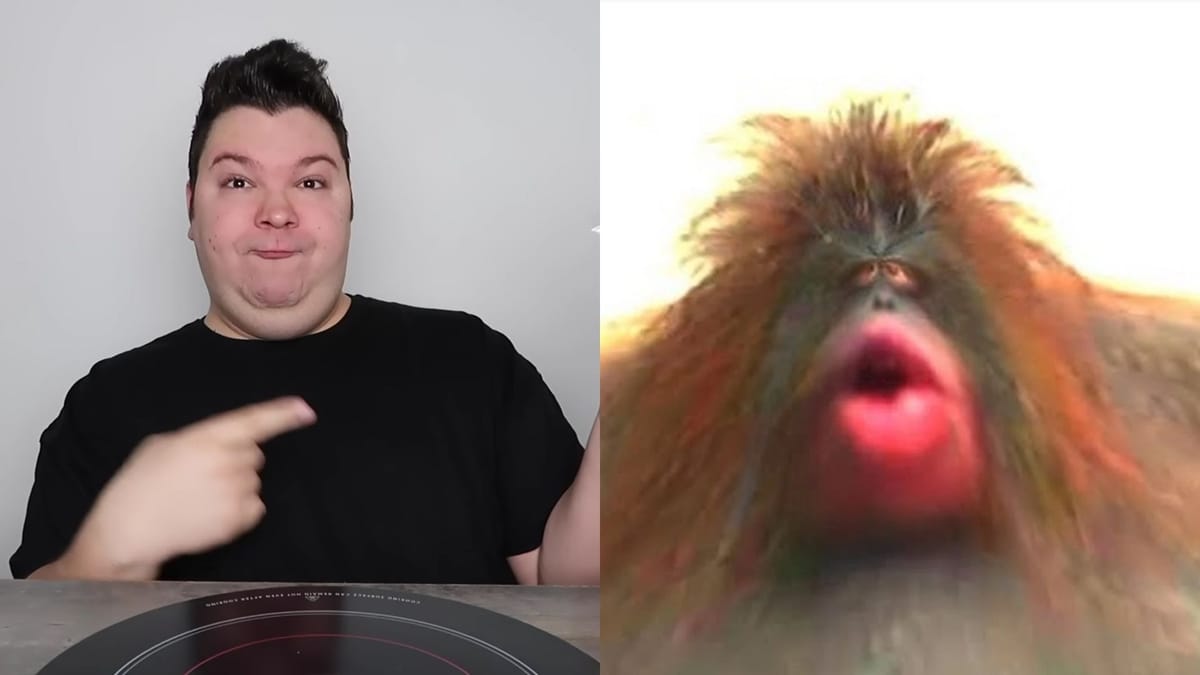 What happened to KraccBacc's channel? YouTuber hints Nikocado Avocado's ...