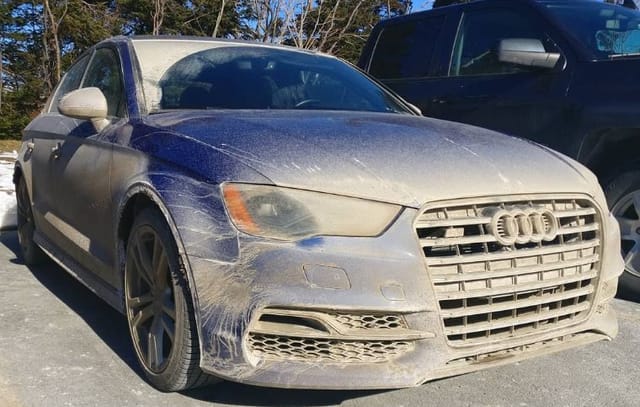 How much is Matt Shea’s net worth as of 2023?