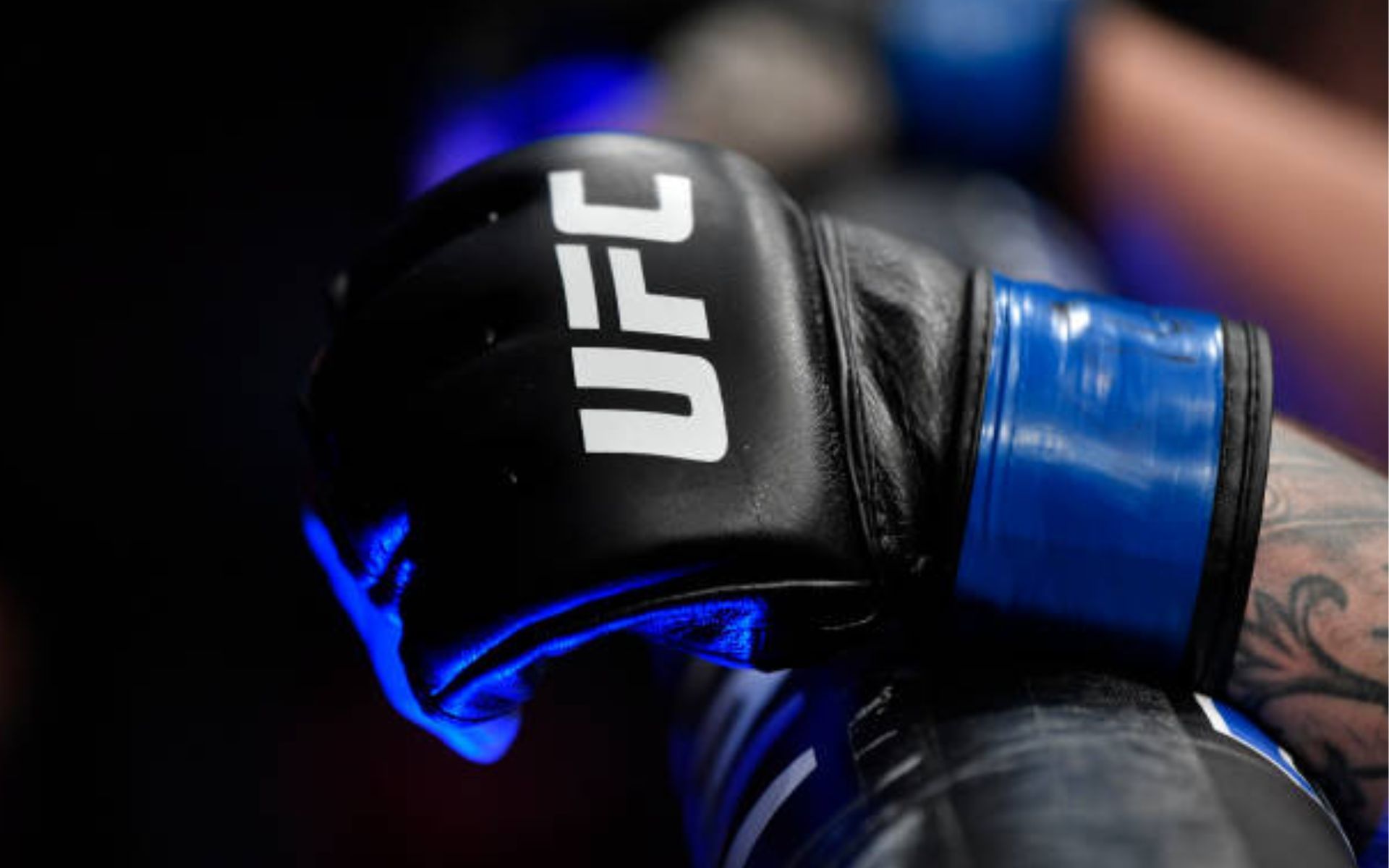 Worried fan takes to Reddit after surging UFC bantamweight likes a ...