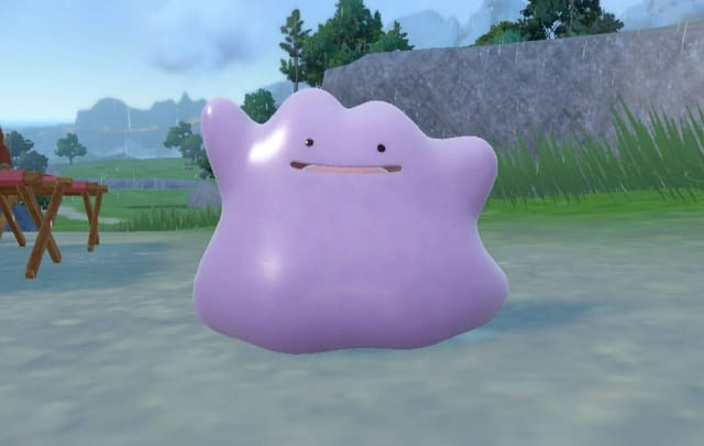 How to obtain 6IV Dittos for breeding in Pokemon Scarlet and Violet