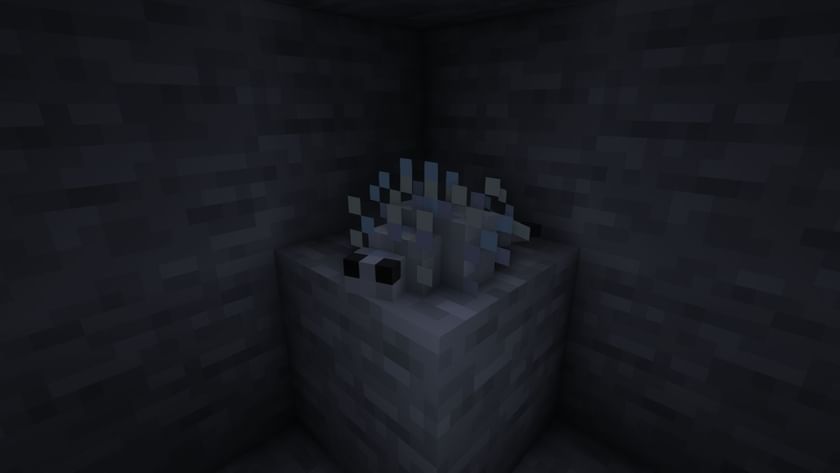 Every arthropod mob in Minecraft