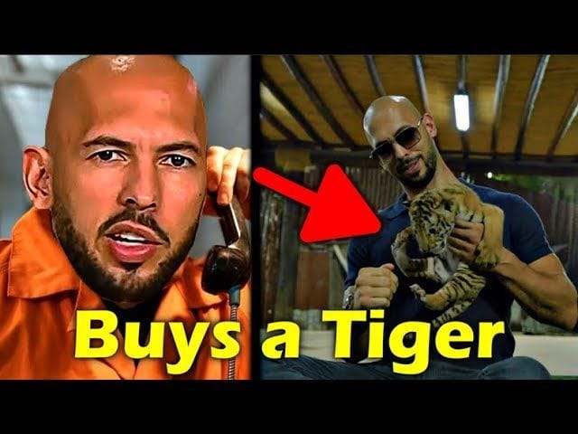 WATCH: Andrew Tate gets caught in tug-of-war with tiger he plans to buy
