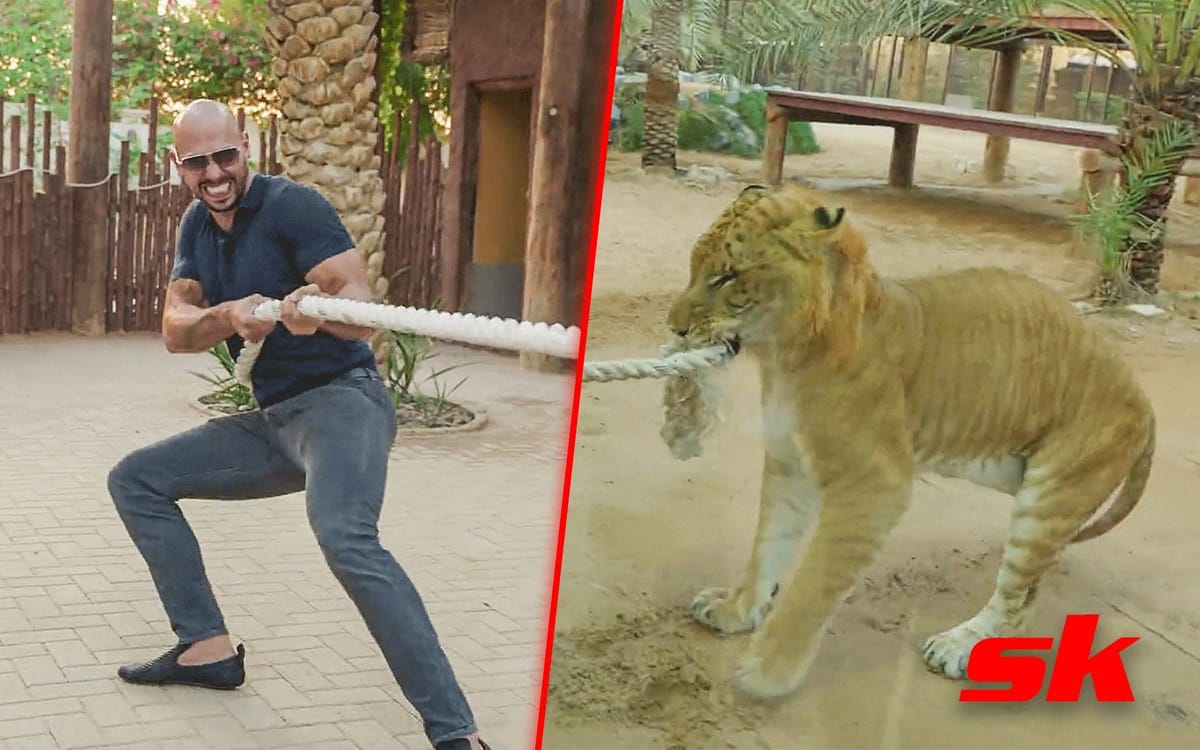 WATCH: Andrew Tate gets caught in tug-of-war with tiger he plans to buy