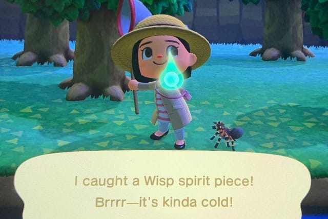 Animal Crossing New Horizons: Possible Wisp Locations