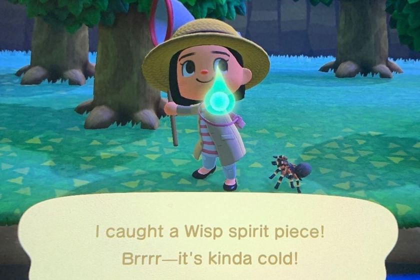 Animal Crossing New Horizons: Possible Wisp Locations
