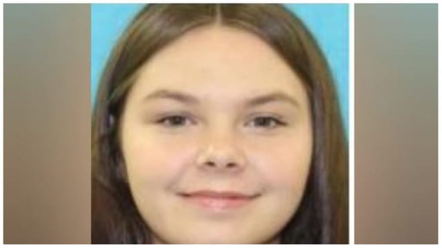 What happened to Alexis Vidler? Missing Texas teen found safe near ...