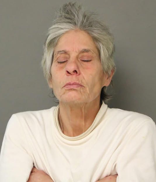 What did Jeanette Olivo do? Chicago woman arrested over random attack ...