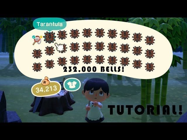 Animal Crossing: New Horizons - How to catch a Tarantula