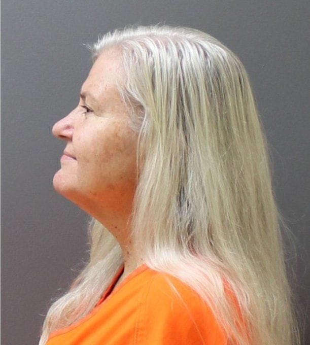 How did the police arrest Lois Riess? Details explored ahead of See No ...