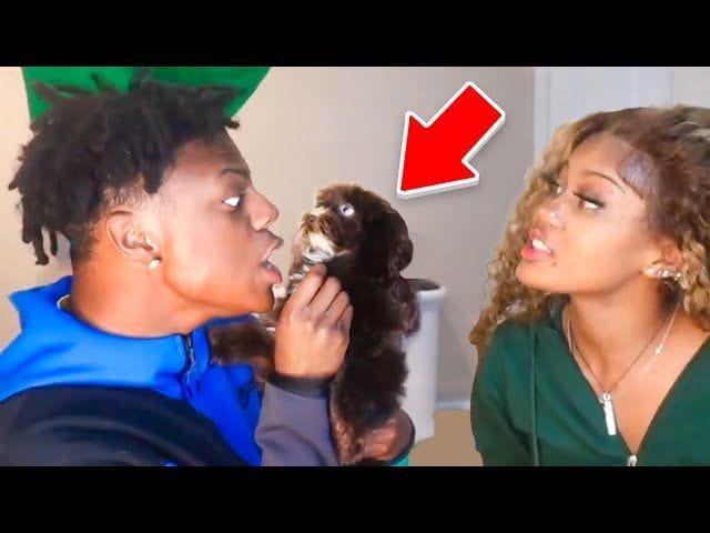 IShowSpeed Age, Bio, Net Worth, Career, Personal Life and FAQs