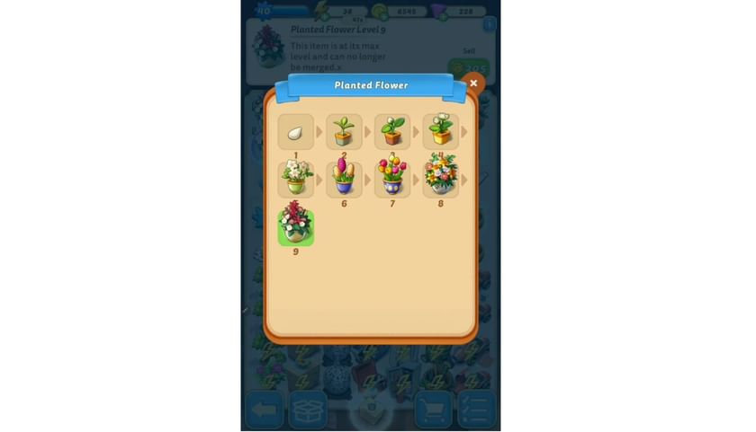 How to get a Planted Flower in Merge Mansion