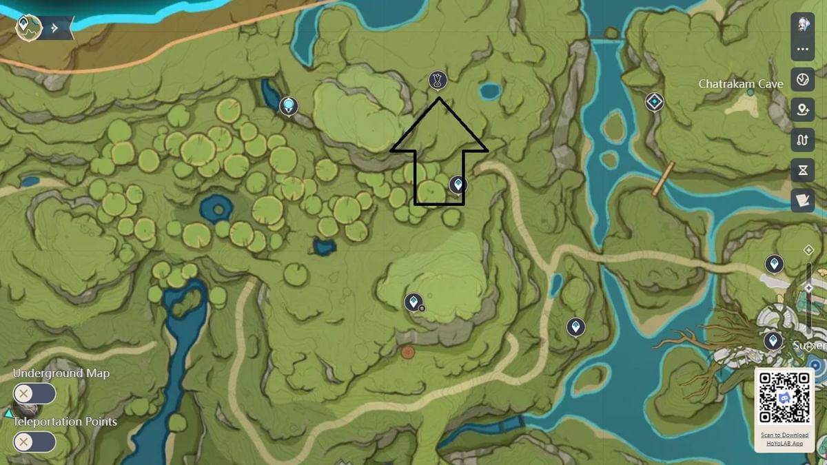 Genshin Impact: Tree of Dreams rewards for levels 40 to 50