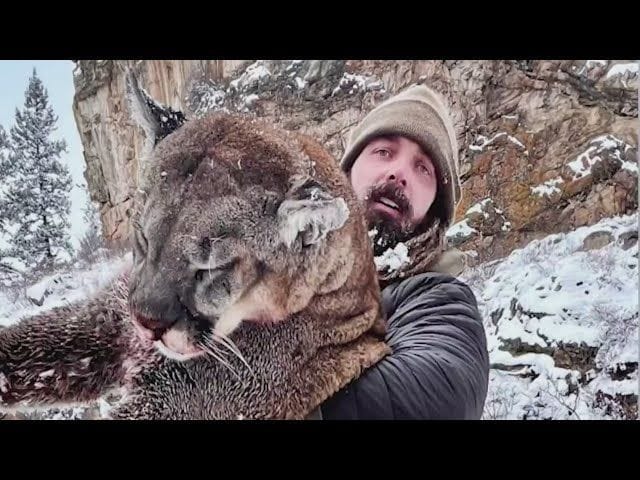 Former Broncos star Derek Wolfe slaying mountain lion upsets NFL fans