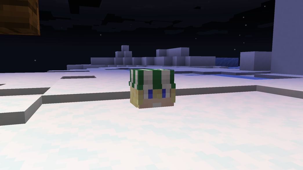 Top 7 hidden blocks and items in Minecraft