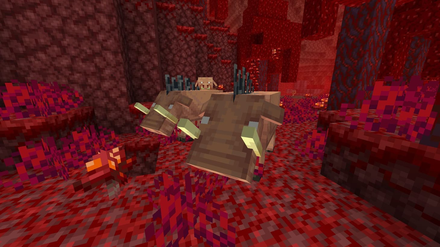 5 best Minecraft farms to build on top of Nether