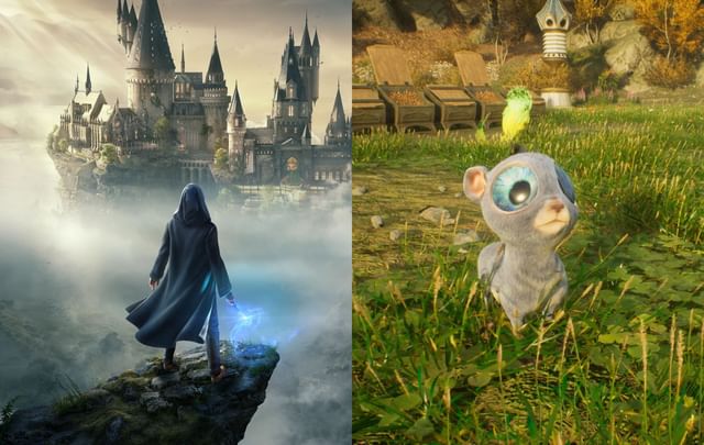 How to find Mooncalves and obtain Mooncalf Fur in Hogwarts Legacy