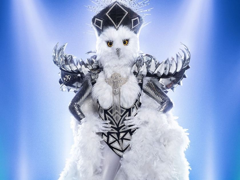 The Masked Singer season 9 costumes: Gnome, Rock Lobster, and more ...