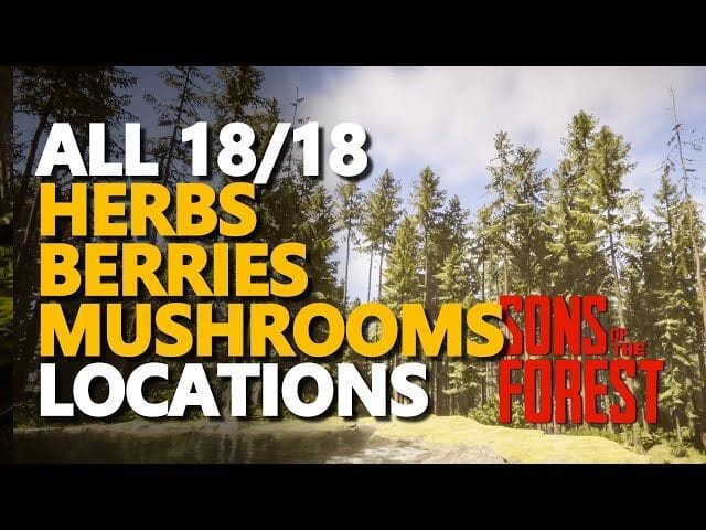 How to make medicine in Sons of the Forest