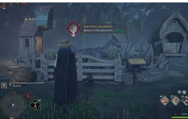 Foal of the Dead: Hogwarts Legacy walkthrough: How to complete the Foal ...