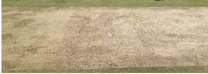 "Burnol bhejo isko" - Fans troll Harbhajan Singh for criticizing Nagpur ...