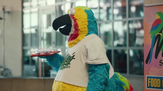 Super Bowl: Who was the parrot in the Super Bowl commercial? NFL ...