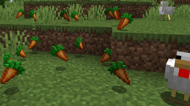How to get carrots in Minecraft (2023)