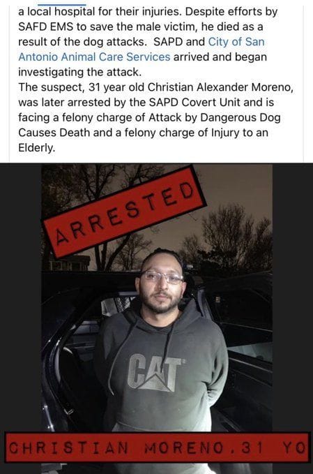 Ramon Najera GoFundMe: Fundraiser launched as elderly man mauled to ...